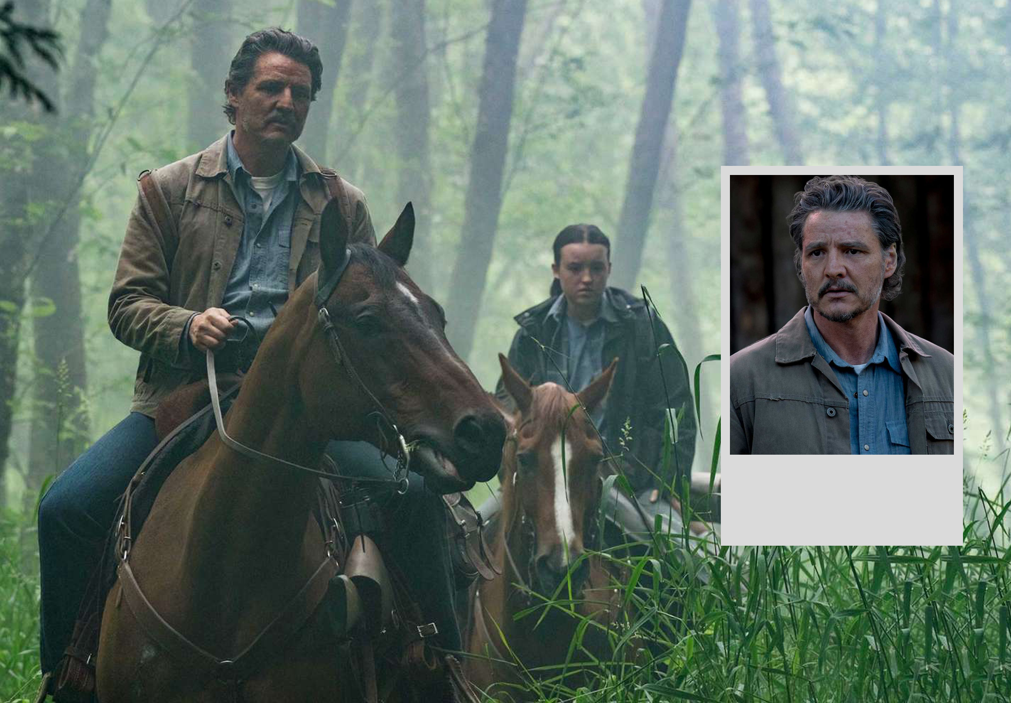 The Last of Us: of moths, memory, and the cost of love | ge-magazine