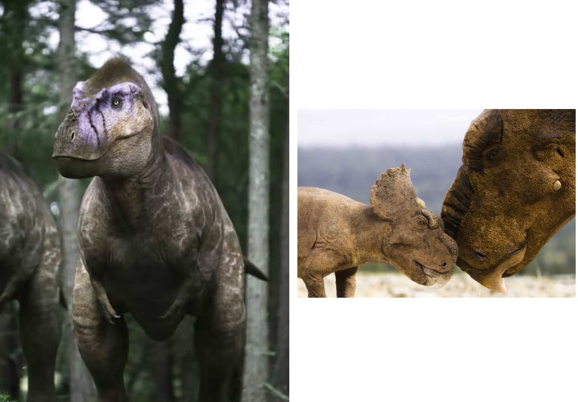 BBC’s legendary walking with dinosaurs returns with next-level visual ...