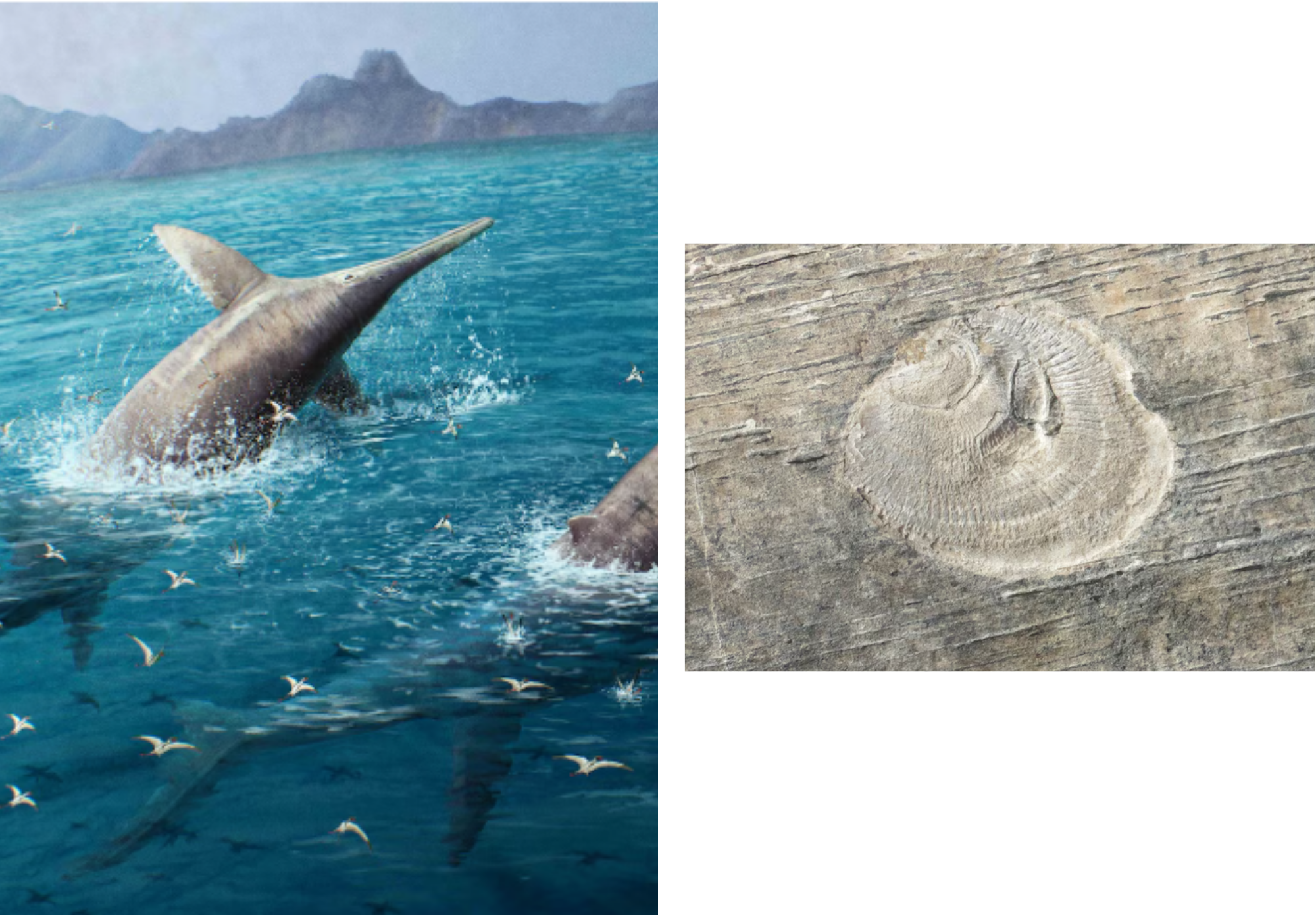 Ichthyotitan Severensis: The Colossal New Ancient Sea Dragon | ge-magazine