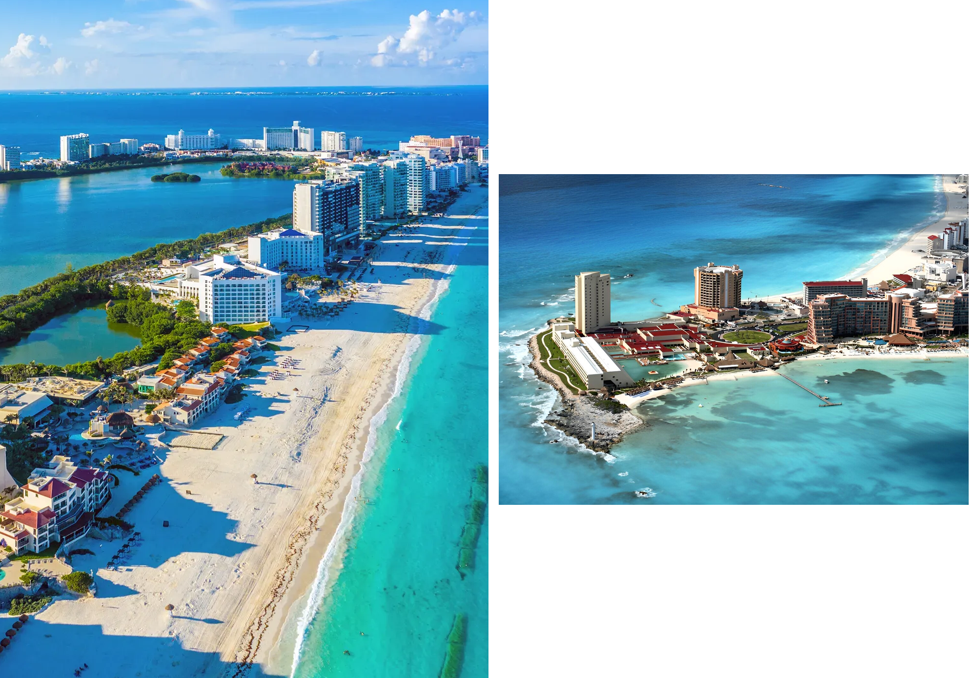 The Luxe Dividend: How ALG Vacations Forged a New Identity in High-End ...
