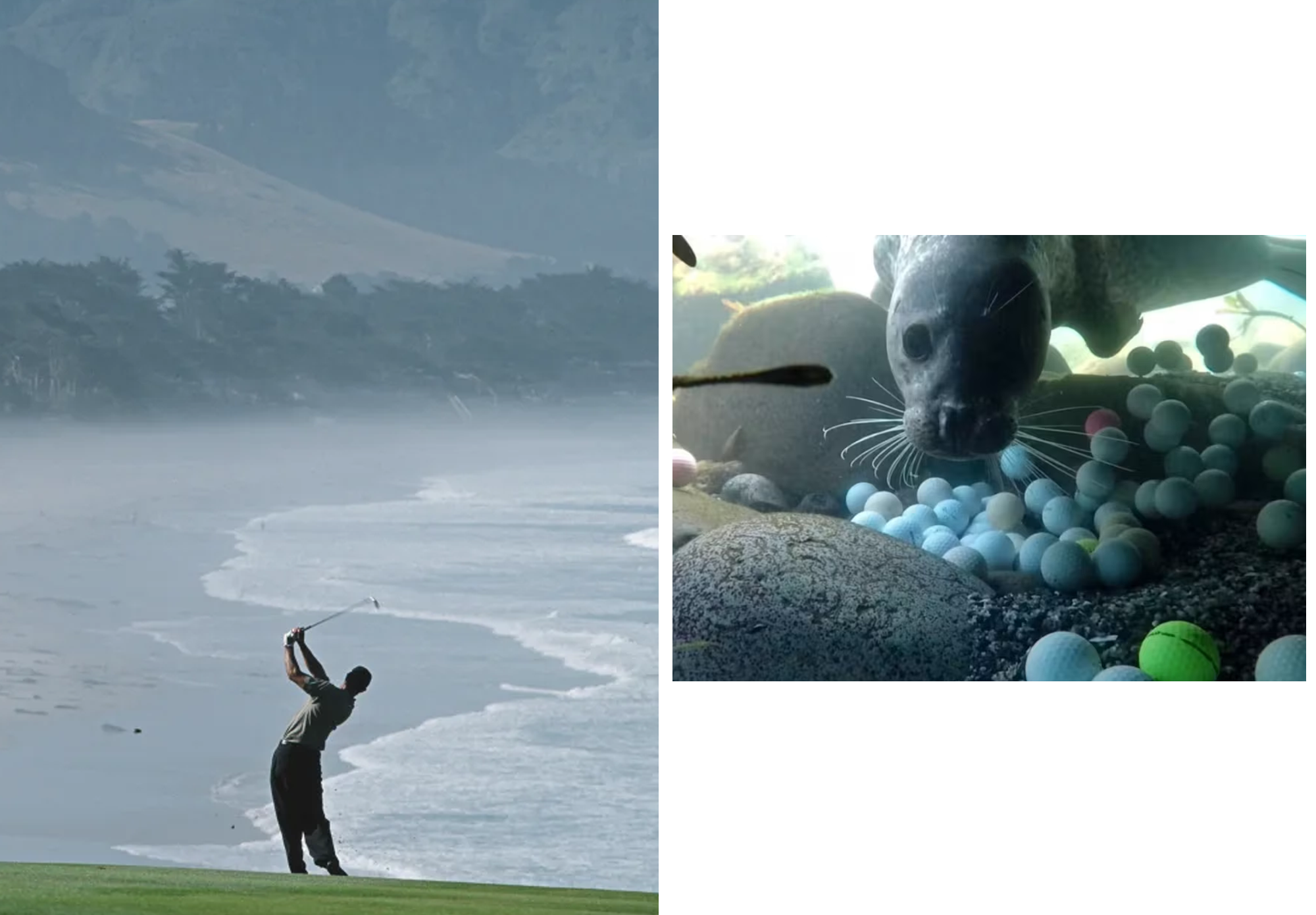 The Unseen Hazard: The Environmental Toll Of Millions Of Lost Golf ...